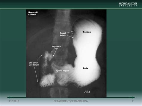 Department Of Radiology Ppt Download