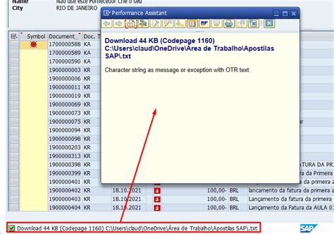 Como Exportar Os Dados Do Sap Para O Excel • Freire Cruz