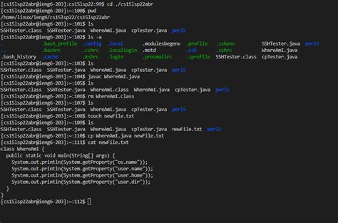 Cse 15l Remote Running With Ssh Cse15l Lab Reports