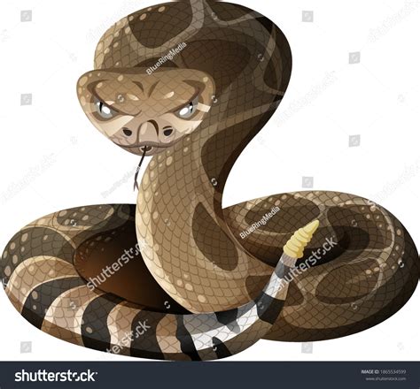 Rattlesnake Stock Vectors Images Vector Art Shutterstock