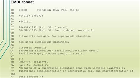 Major Databases In Bioinformatics Pptx Databases Computer