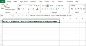 How To Make Excel Columns Autofit Your Data Dedicated Excel