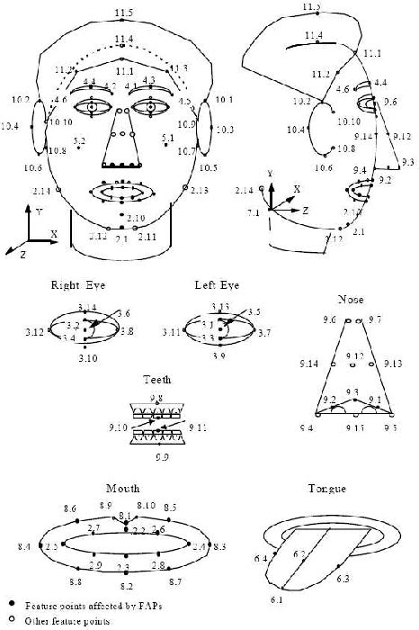 Figure 22 From Animating Highly Constrained Deformable Head Face Models Using Motion Capture