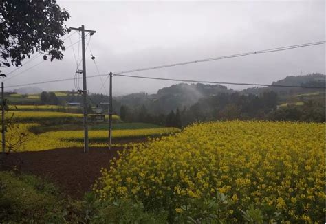 三台县东塔镇三台县玉林镇大山谷图库