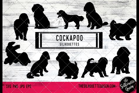 Cockapoo Dog Svg Files Cricut Silhouette Clip Art Vector I 142036