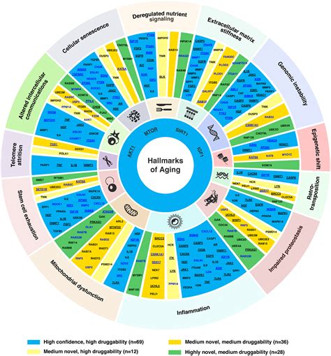 Hallmarks Of Aging Based Dual Purpose Disease And Age Associated Targets Predicted Using