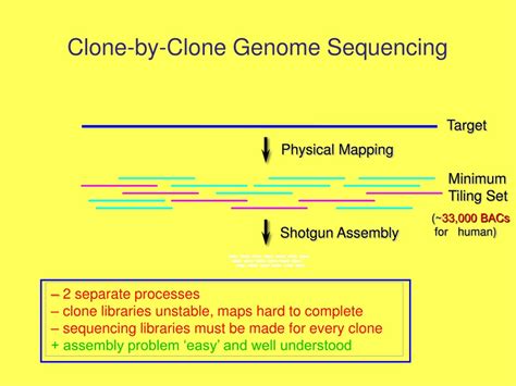 Ppt Celera Assembler Powerpoint Presentation Free Download Id9197769