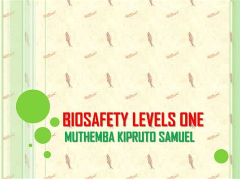 Biosafety Level One Pptx