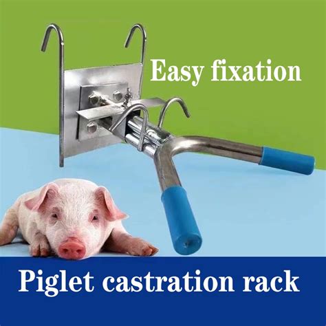 What Is The Meaning Of Castration Rack At Lawrence Blose Blog