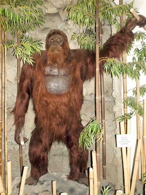 Gigantopithecus