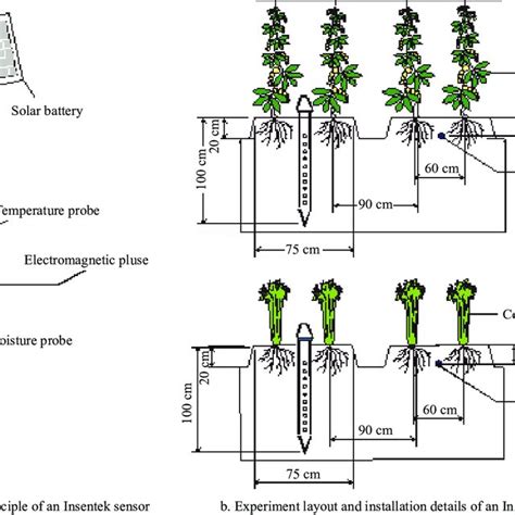 Design And Layout Of Insentek Sensor Download Scientific Diagram Design And Layout Of Insentek Sensor Download Scientific Diagram