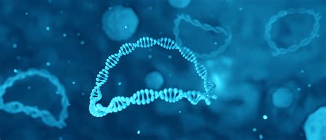 Plasmid Testing Avance Biosciences