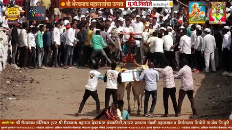 श्रीभैरवनाथ महाराज उत्सवनिघोजे दिवस पहिला घाटाचा राजा अजिंक्य