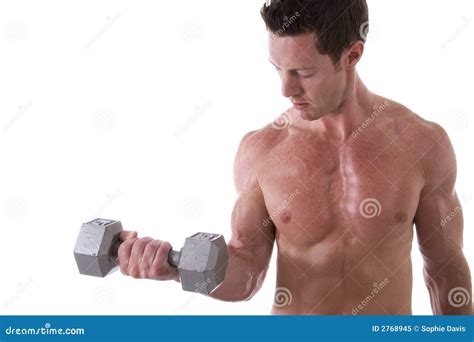 Bicep Curl Stock Image Image Of Bodybuilding Lift Exercising
