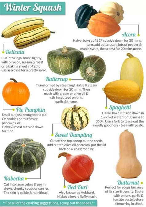 Butternut Squash Identification At Oscar Godson Blog