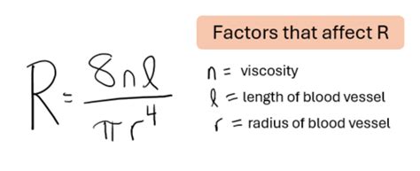 Bio 335 Exam 3 Lecture Questions Flashcards Quizlet