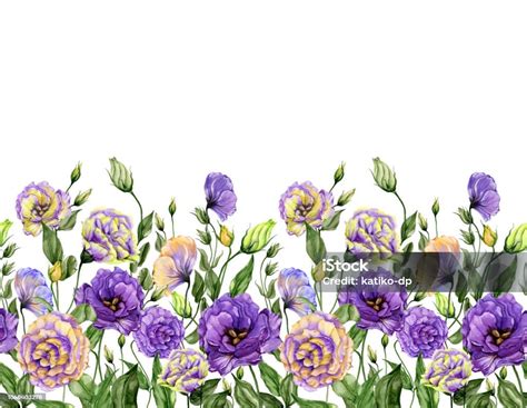 흰색 바탕에 녹색 잎을 가진 아름 다운 Lisianthus 꽃 완벽 한 꽃 패턴입니다 수채화 그림입니다 손으로 그린 고 그린 그림 0명에 대한 스톡 벡터 아트 및 기타