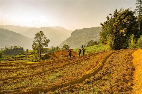 Premium Photo Lao Cai Vietnam May 06 2023 Three Hani Woman In