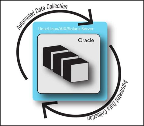 oracle database performance assessment