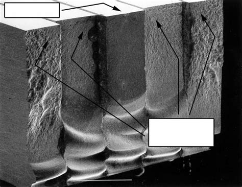 A Scanning Electron Micrograph Of A Typical Fracture Surface Where Download Scientific Diagram