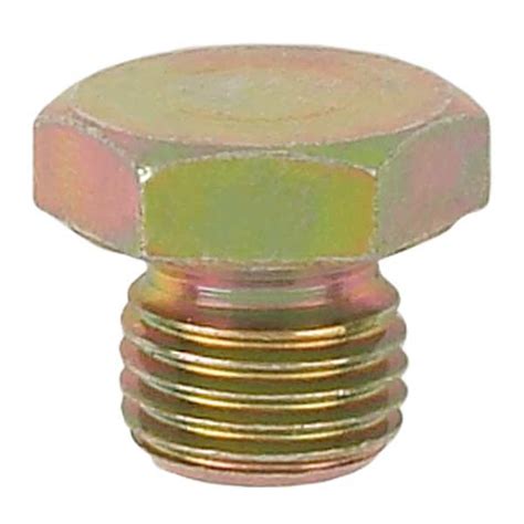 Crankcase Plug