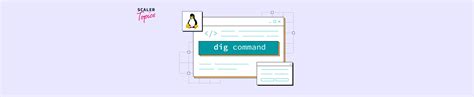 Dig Command In Linux Scaler Topics