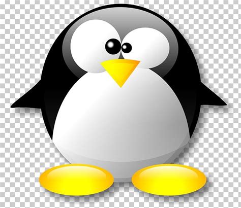 Penguin Tux Linux Png Clipart Animals Beak Bird Computer Icons Computer Software Free Png Penguin Tux Linux Png Clipart Animals Beak Bird Computer Icons Computer Software Free Png