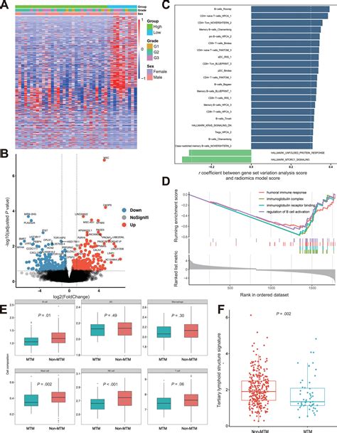 Ct Radiomics To Predict Macrotrabecular Massive Subtype And Immune Status In Hepatocellular