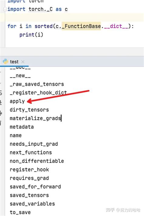 torch autograd function 知乎