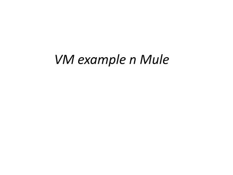 Webservice With Vm In Mule Ppt