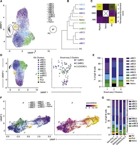 High Throughput Single Cell Analysis Reveals The Full Diversity Of