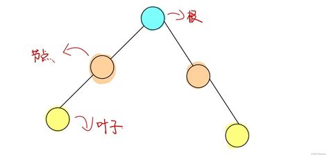数据结构入门：树与二叉树基础概念解析 Csdn博客