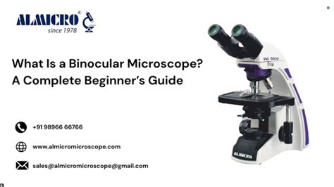 Binocular Microscope Diagram Types Purpose And Components