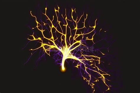 Neuronal Pathways A Journey Through The Brain S Connections Function