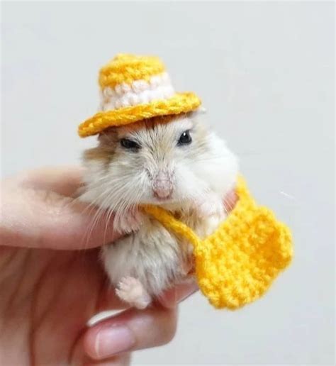 1522 Best Teemo Images On Pholder Teemo Talk League Of Memes And
