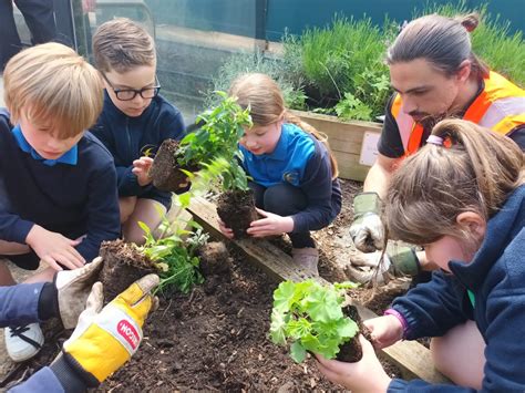 Swallowfield Primary