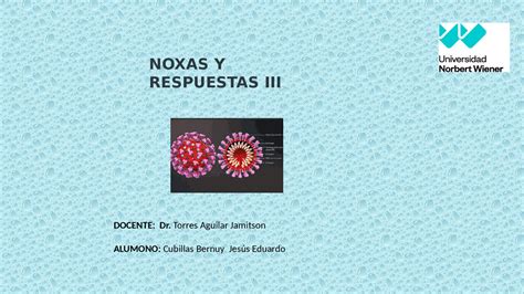 Efecto Citopatico De Los Virus Diapositivas De Virología Docsity