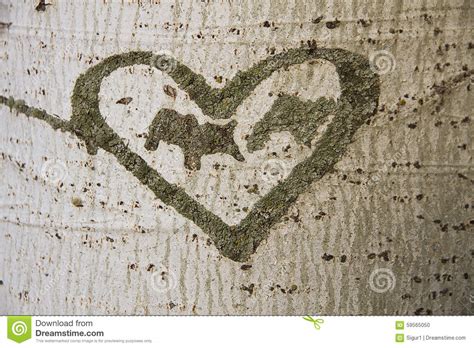 Heart Engraved On A Tree Stock Photo Image Of Registration