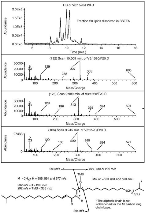 GC MS Analysis Of Trimethylsilyl TMS Derivatives Of Fraction 20 Download Scientific Diagram