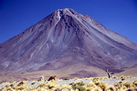 Summerize Onsite Captions Simple Gui Civitai