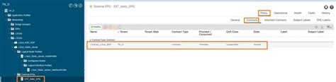 고정 경로를 추적하기 위해 L3out을 사용하여 Ip Sla 기능 구성 Cisco