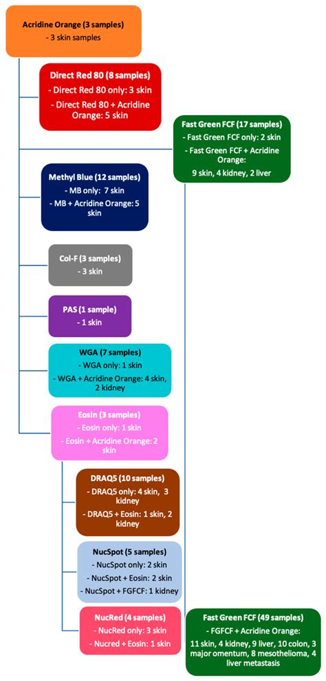 Flowchart Of Staining Process Order Of Stains And Amount And Types Of