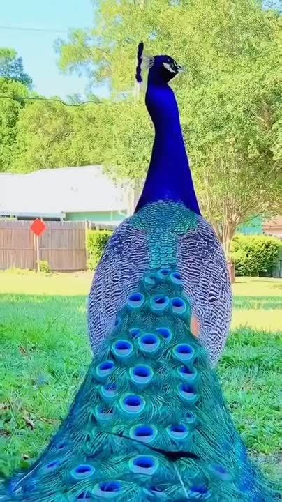 Rani Kumari On Linkedin Freecourses Freecertification