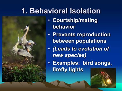 Population Genetics And Speciation Ppt Video Online Download