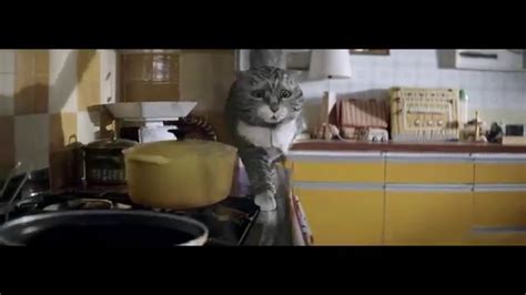 Sainsburys Christmas Advert 2015 Mogs Christmas Calamity Youtube