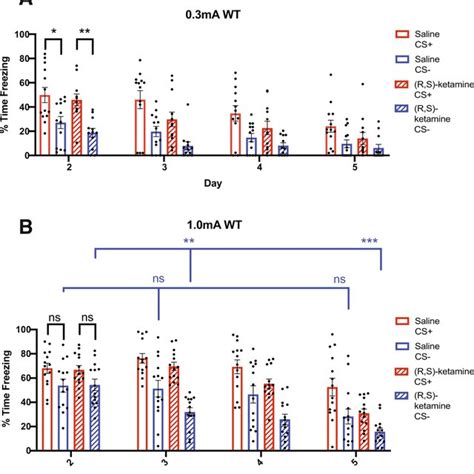 Auditory Fear Conditioning With A Strong Foot Shock Induces Fear Download Scientific Diagram
