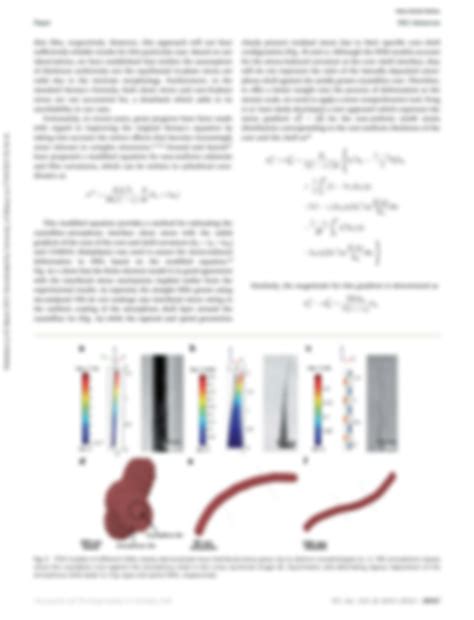 Solution 2015 260 Catalyst Dependent Morphological Evolution By