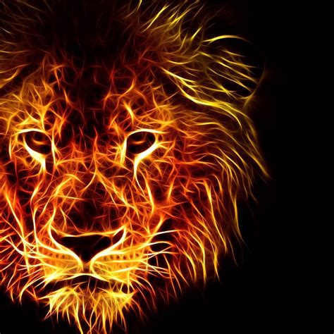 Dylan Van Breugelen Youtube