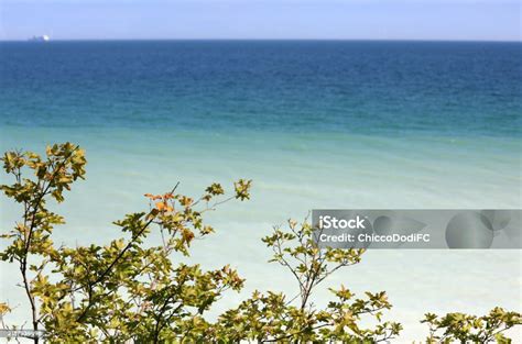 다양한 색조의 푸른 색조와 푸른 나무의 단풍이 어우러진 화려한 바다의 전망 0명에 대한 스톡 사진 및 기타 이미지 0명 경관 그늘 Istock