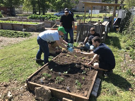 Backyard Installations To Make Gardening Easier My Decorative